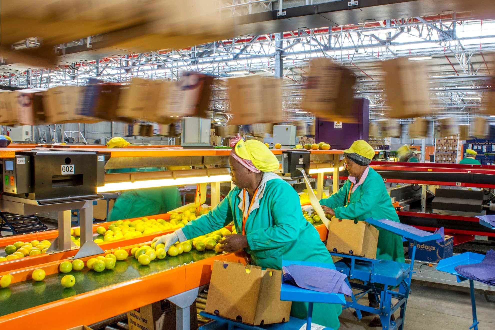 Largest Grower | Packer | Exporter of South African Citrus | SRCC