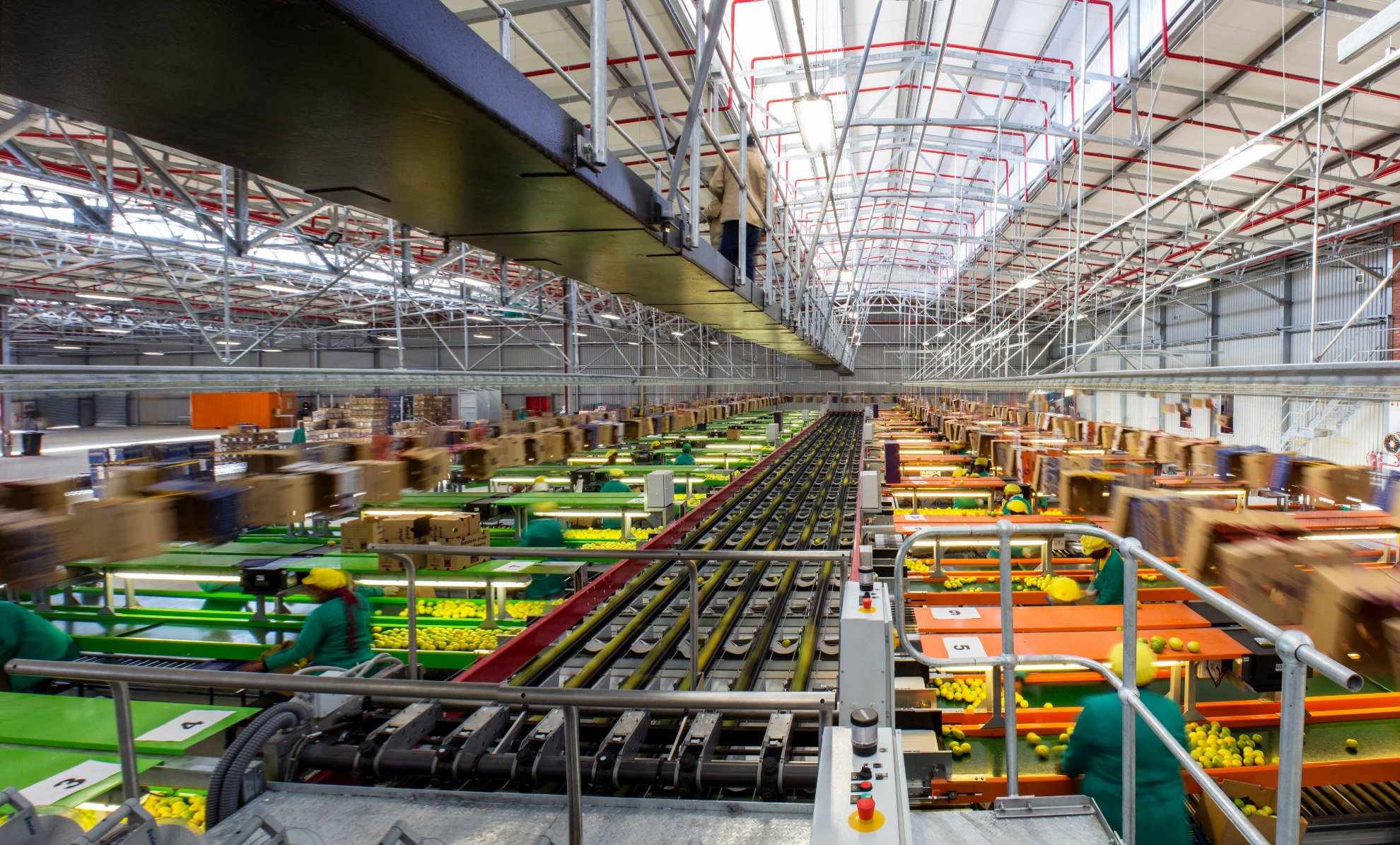 Largest Grower | Packer | Exporter of South African Citrus | SRCC